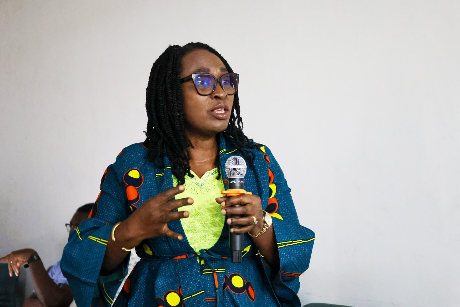 BIRD Partners with African Development Bank to Conduct a Training ...